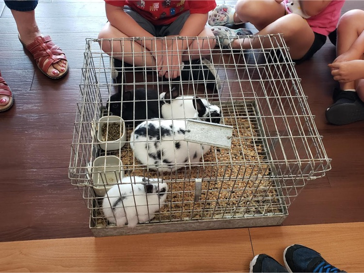 Live Feed | Herington USD 487