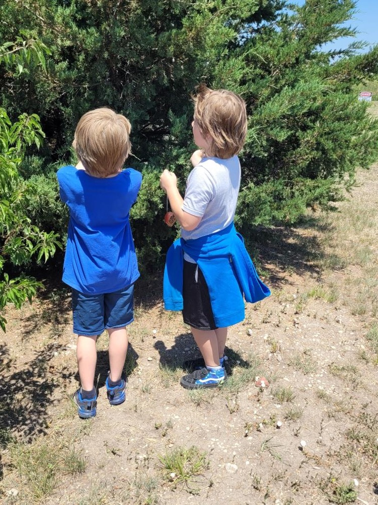 Live Feed | Herington USD 487