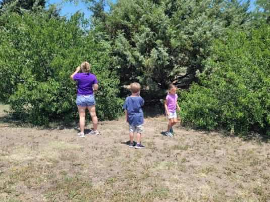 Live Feed | Herington USD 487