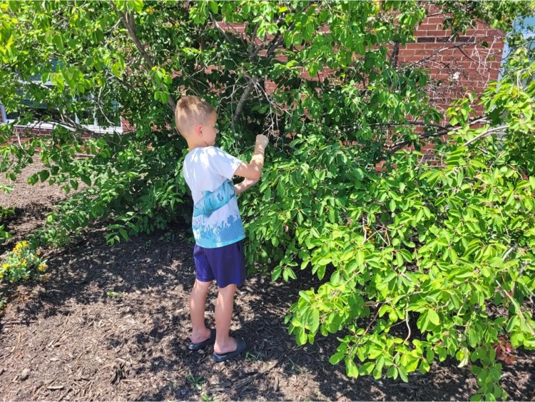 Live Feed | Herington USD 487